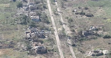 Por Qué La Liberación De Robotyne Es Un Avance Clave Para Las Aspiraciones Ucranianas De