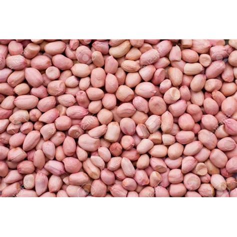 Groundnut Kernel Purity High At Best Price In Khambhaliya K2n Exports