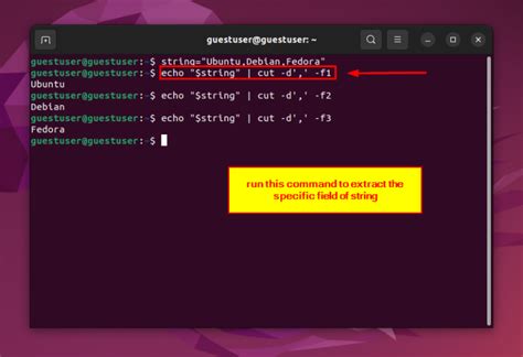 9 Best Methods To Bash Split String