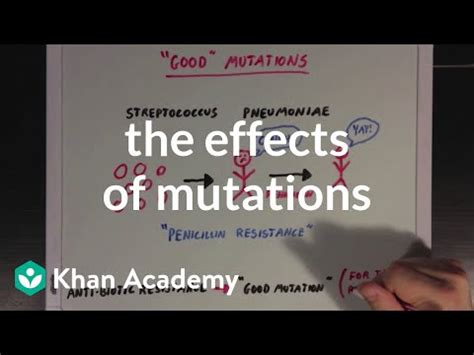 The Effects Of Mutations Video Mutations Khan Academy