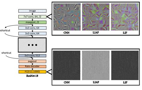 Weight On Es Imagenet After The Wu Epochs The First Convolution Layer Download Scientific