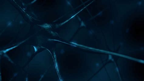 Tutorial Create A Brain Neuron Scene Blendernation