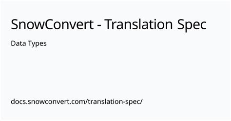 Data Types Snowconvert Translation Spec