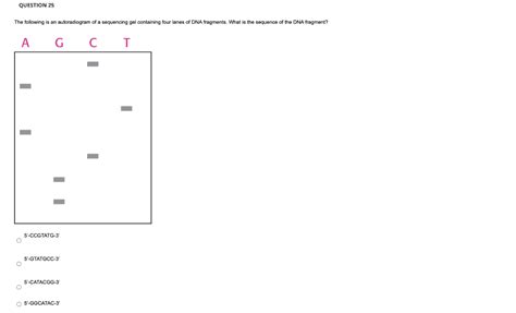 Solved Question 23 Below Is A Plasmid With Restriction Sites