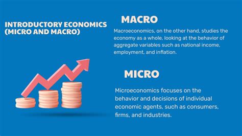 Introductory Economics Micro And Macro