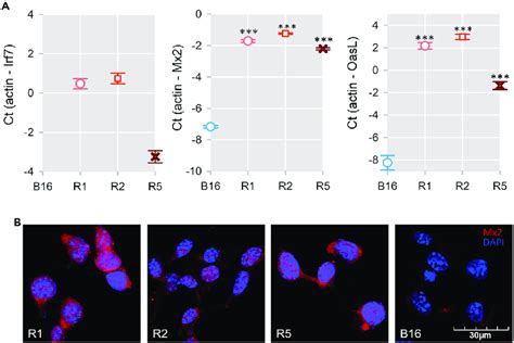 validation of rna seq results by rt qpcr and immunofluorescence a