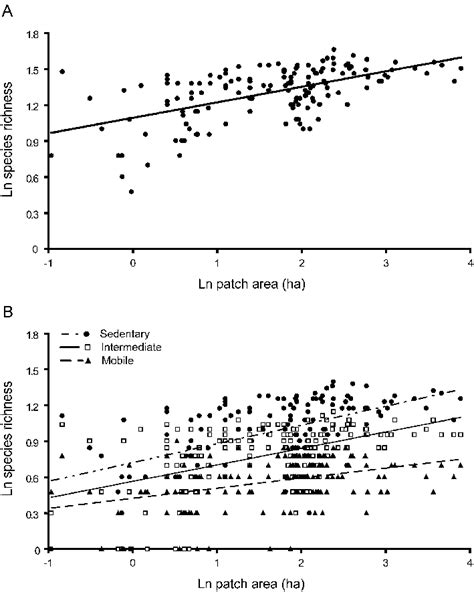The Relationship Between The Area Of The Focal Patch And Butterfly