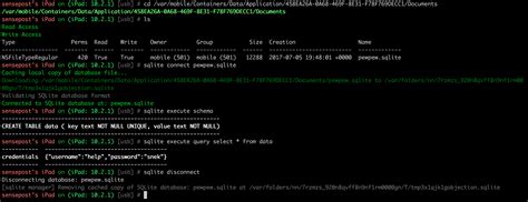 sensepost objection mobile runtime exploration