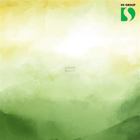 Video Ds Group On Linkedin Ds In News 12 Comments