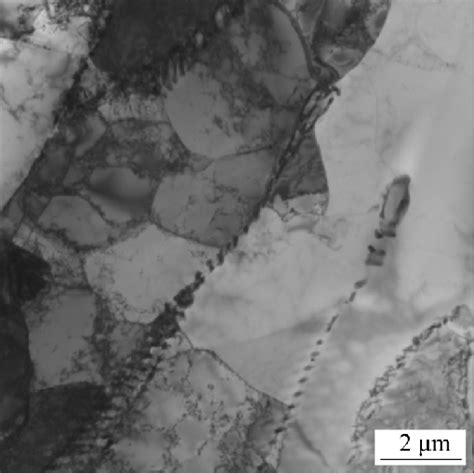 tem image of primary phase particles in eutectic cells and dislocation
