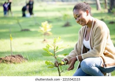 Charming Woman Tree Seedling Climate Change Stock Photo Shutterstock
