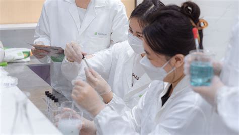 HPMC Factory Hydroxypropyl Methyl Cellulose Supply