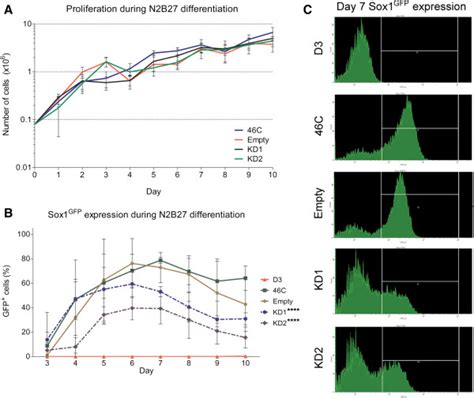 The Effect Of Reduced Npas4 Expression On Sox1 Expression During Neural