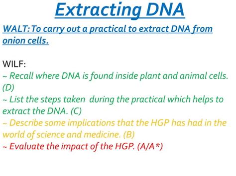 B24 Extracting Dna Pptx Biological Sciences Science