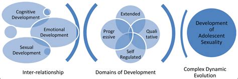 Understanding Adolescent Sexuality A Developmental Perspective