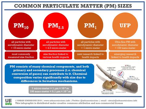 Daily Dose Of Air Pollution Infograph Penetration Of Particulate Matter In Our Body
