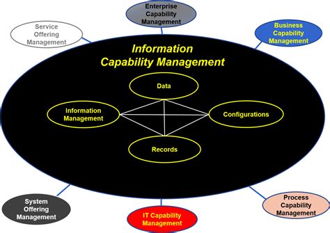 Information Capability Management Standard Business
