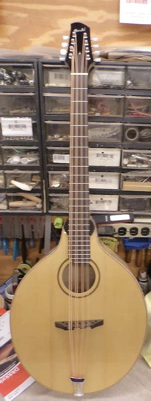 Joe Mendel Mandocello 2017 Mandolin Cafe