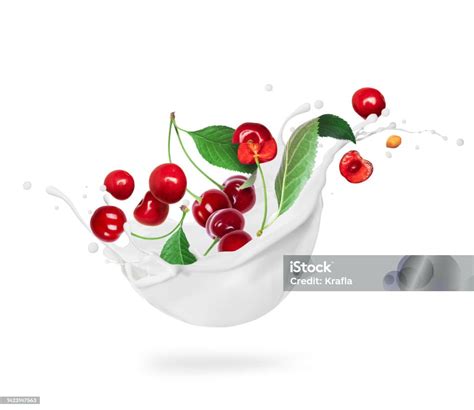 우유에 나뭇잎이있는 체리가 흰색 배경에 고립 된 클로즈업을 튀깁니다 거품 내기에 대한 스톡 사진 및 기타 이미지 거품 내기 건강한 식생활 따르기 Istock