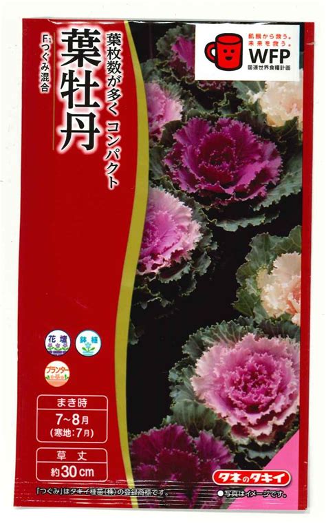 送料無料 花の種 葉牡丹 F1つぐみ混合 タキイ種苗株nl300花の種花の種（小袋）秋まきグリーンロフトネモト直営