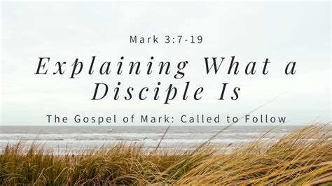 What Does Unity Look Like Mark 3 20 35 Logos Sermons