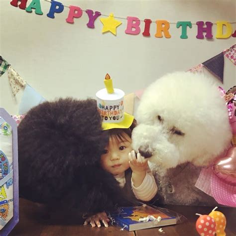 Japonesinha E Seu Poodle De Estimação Vão Animar Seu Dia Sweet And Fluffy