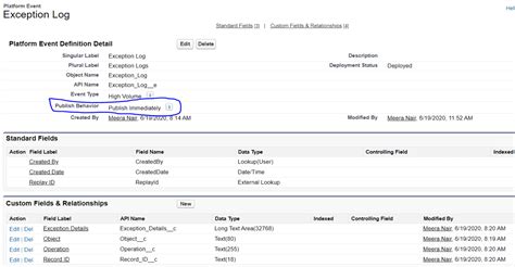 Exception Handling And Logging In Flow Fault Connectors Apex Hours