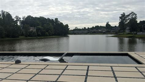 Sexy Lap Pool For Serious Swimmer Vue Custom Pools Design