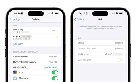 How To Transfer Your Iphones Sim To An Esim And Why You Should