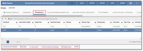 Web Forms Widget Beta Grid Entry Screen