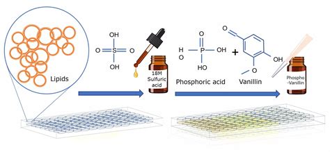 Lipid Quantification Assay
