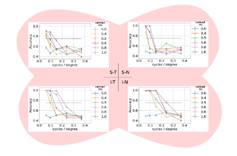 Fig S2 Retinal Acuity By Retinal Section Svm Classification Download Scientific Diagram