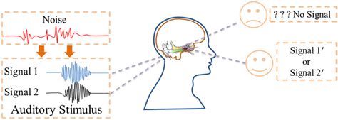 Schematic Diagram For Signal Encoding In The Auditory Neurons In The Download Scientific