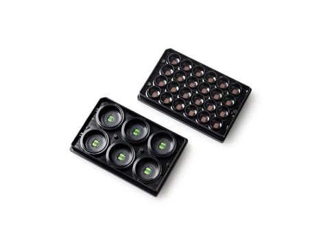 Maxtwo Hd Multiwell Microelectrode Array Maxwell Biosystems