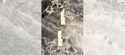 Оперативная память Ddr4 32 G Skill Trident Royal Z купить в Москве с