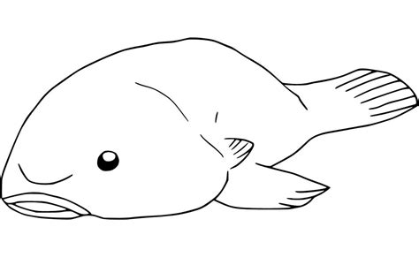 Blob Fish Coloring Pages Coloring Pages