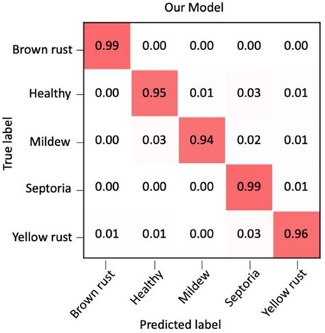 Classification Of Wheat Diseases Using Deep Learning Networks With Field And Glasshouse Images