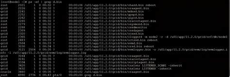 查看集群状态oracleoracle Rac问题排查思路 源码巴士