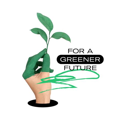 Sustainability The Fizz