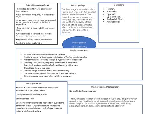 concept map labor and delivery patient observations data estimated