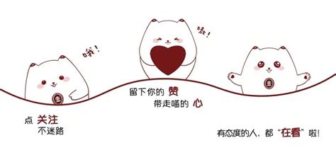 干货 Mendeley 的基础使用方法 知乎