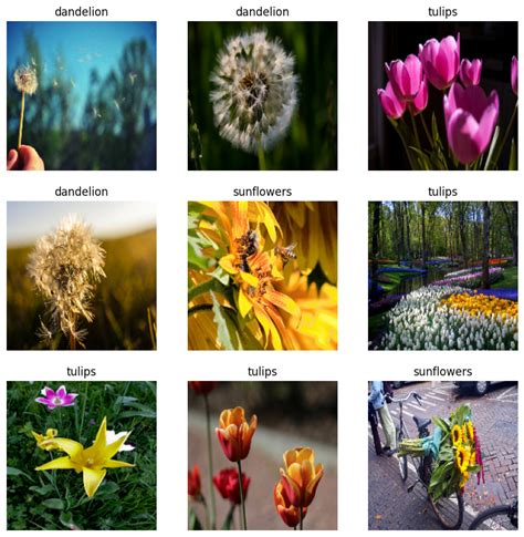 加载和预处理图像 tensorflow core