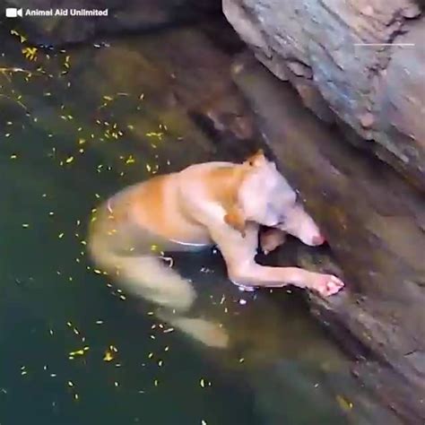 Vishesh Gupta Posted On Linkedin