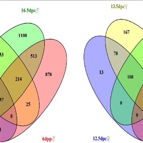 Validation Of The Identified Sex Biased Gene Expression By Qpcr