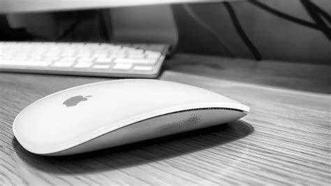 Why Does A Wireless Mouse Go To Sleep Troubleshooting Tips