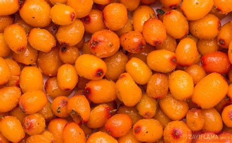 Omega 7 ile Sağlığınıza Güç Katın! Omega 7 Nedir? Sağlığa Faydaları