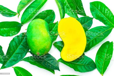 신선한 망고 흰색 백그룬에 녹색 잎과 아름다운 다진 과일 0명에 대한 스톡 사진 및 기타 이미지 0명 개념 건강한 식생활 Istock