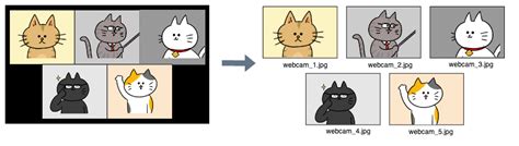 Image And Bounding Box Rotation Using Opencv Python By Codingotter Medium