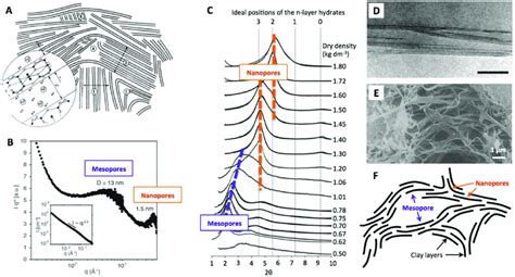 Microstructure Of Compacted Smectite Clay A Conceptual Model Of The Download Scientific