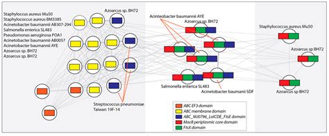 Computation Special Issue Genomes And Evolution Computational